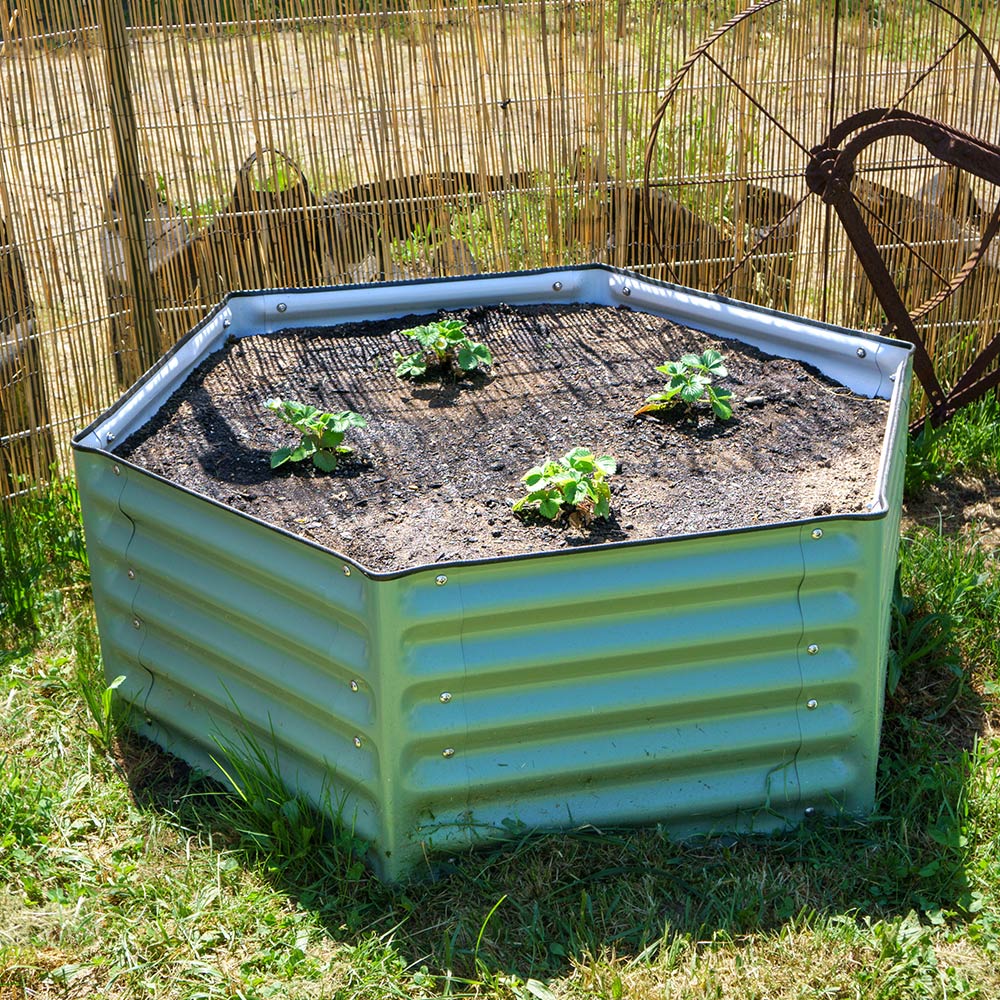 17"Tall 3.5x4 Hexagon Metal Raised Garden Beds